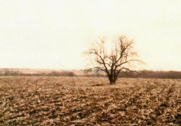 Madison County Iowa Family Tree